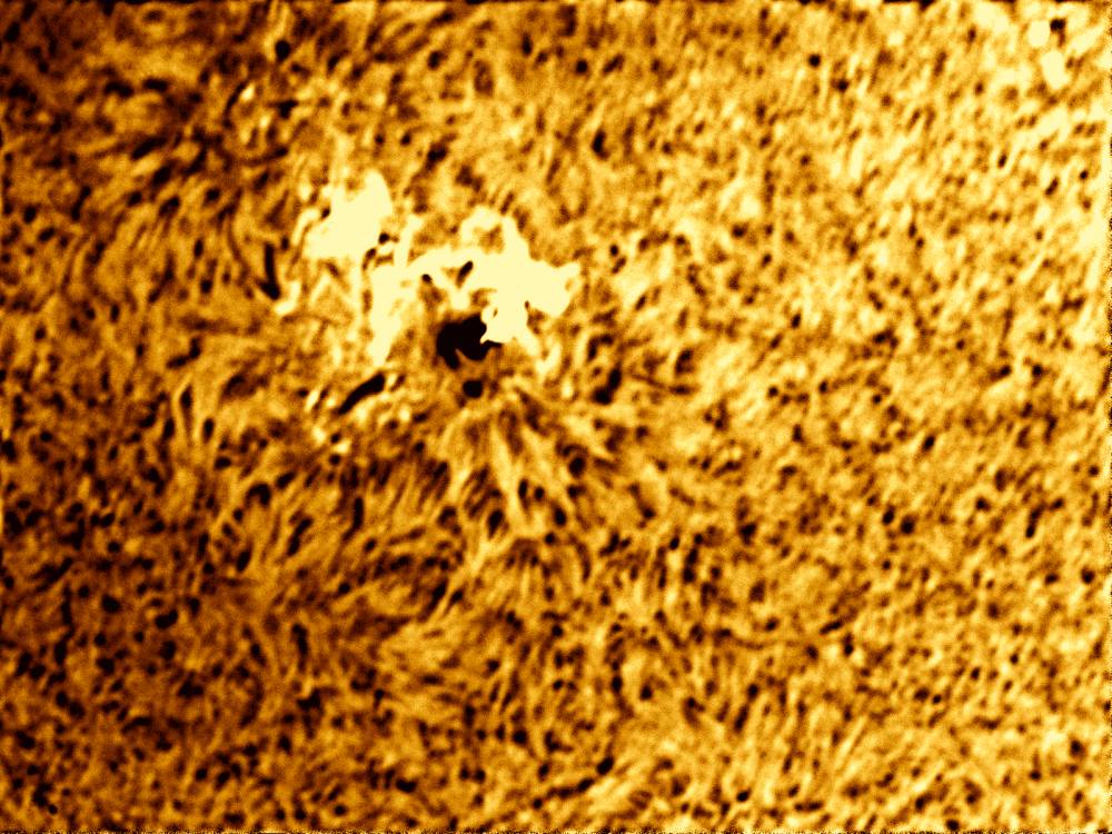 Sun AR11476 | Sean Scott Walker - Sky & Telescope