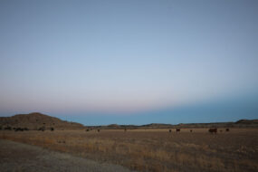 Uncovering Secrets of Earth's Shadow - Sky & Telescope