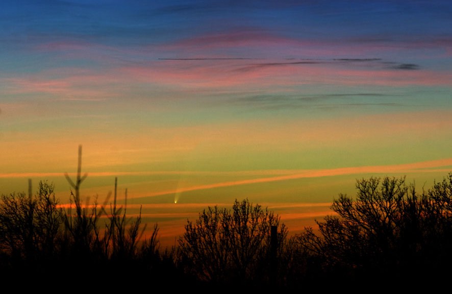 Comet Mc Naught from Provence | Philippe Morel - Sky & Telescope