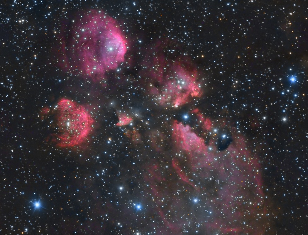 The Cat's Paw nebula - Sky & Telescope
