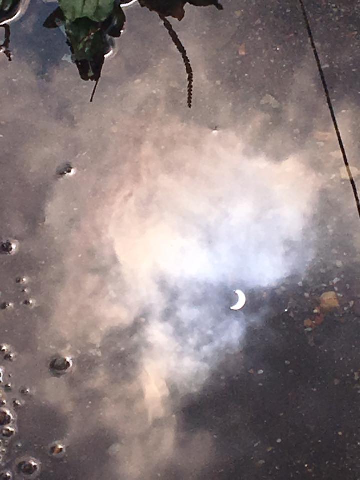 Patrick's Puddle Eclipse - Sky & Telescope