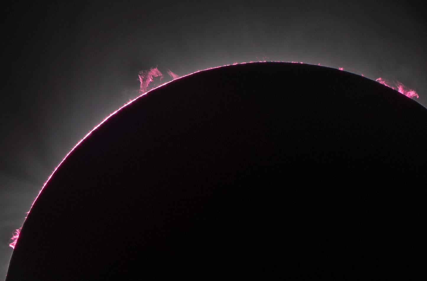 Solar Prominences During the Great American Eclipse - Sky & Telescope