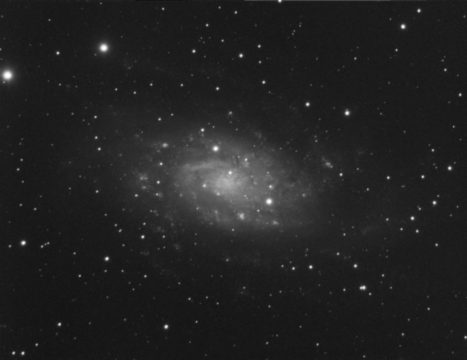 Spiral NGC 2403 - Sky & Telescope