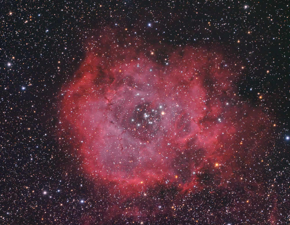 The Rosette Nebula in RGB - Sky & Telescope - Sky & Telescope