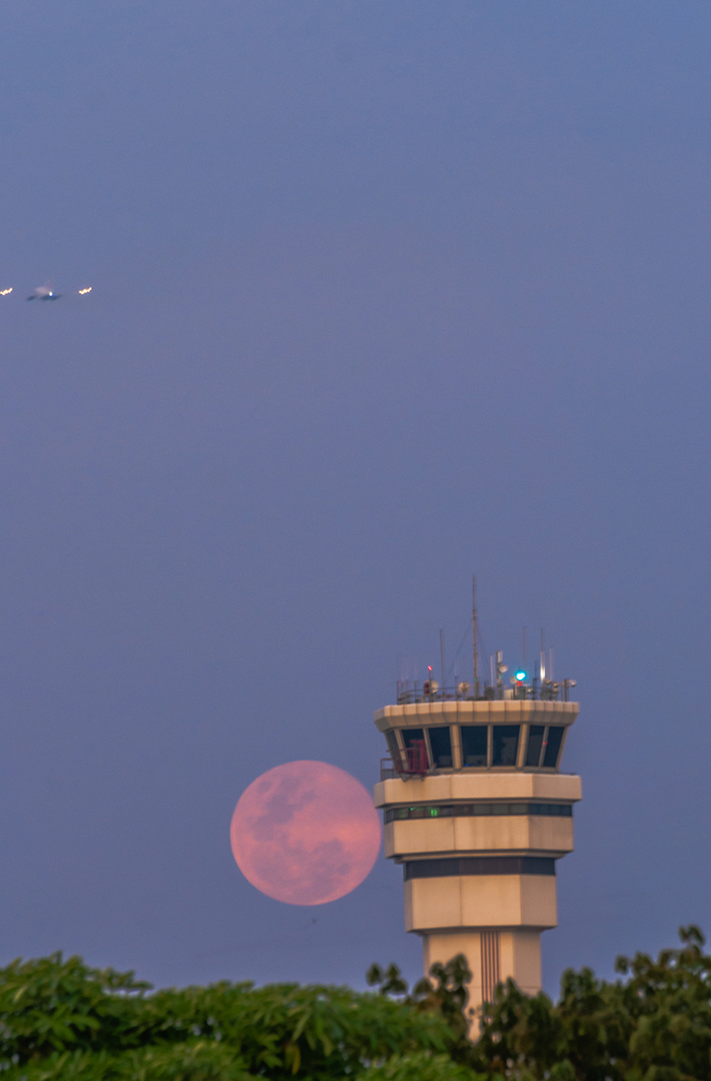 flower full moon - Sky & Telescope