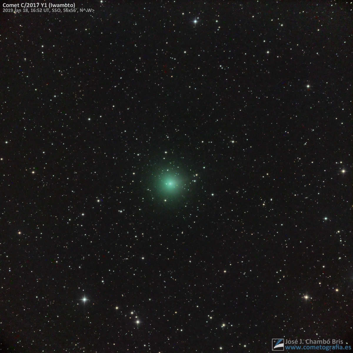 Comet C/2018 Y1 Iwamoto (Jan.18,2019) - Sky & Telescope