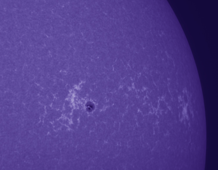The Sun in CaK - Sky & Telescope