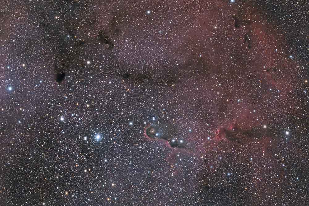Elephant's Trunk Nebula - Sky & Telescope