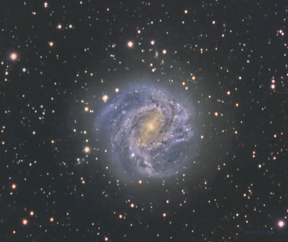 The Southern Pinwheel Galaxy - Sky & Telescope