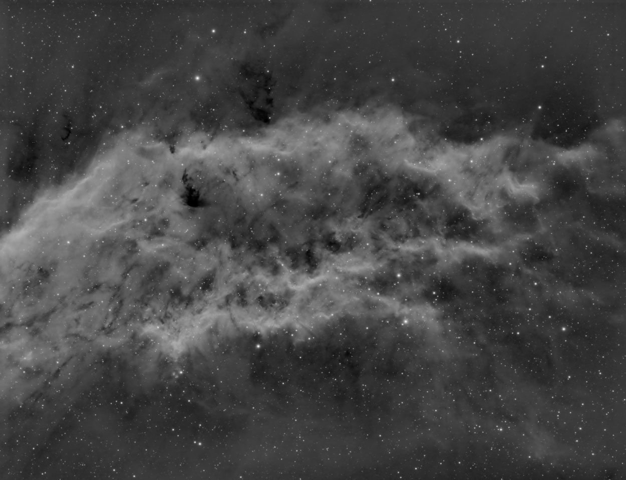 NGC 1499 - California Nebula in Hydrogen Alpha - Sky & Telescope