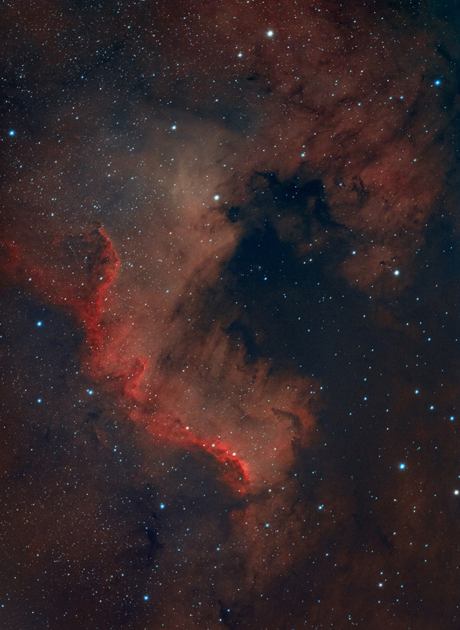 NGC 7000 North America Nebula and Cygnus Wall - Sky & Telescope