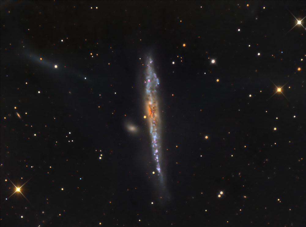 NGC 4631 - Whale Galaxy - Sky & Telescope