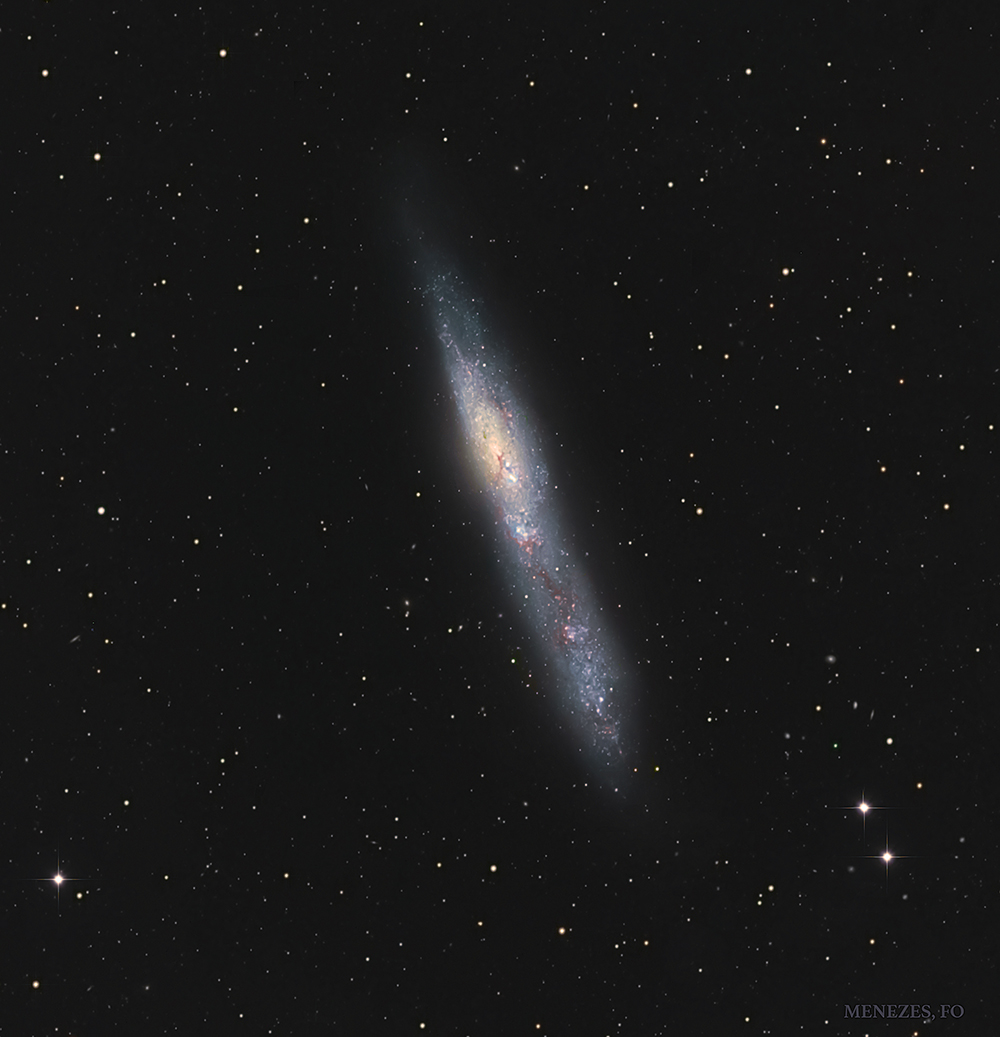 NGC 55 - Sky & Telescope