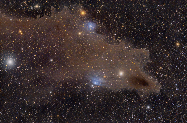 LDN 1235 The Dark Shark - Sky & Telescope