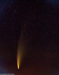 Comet NEOWISE -Tracked and Stacked. - Sky & Telescope - Sky & Telescope