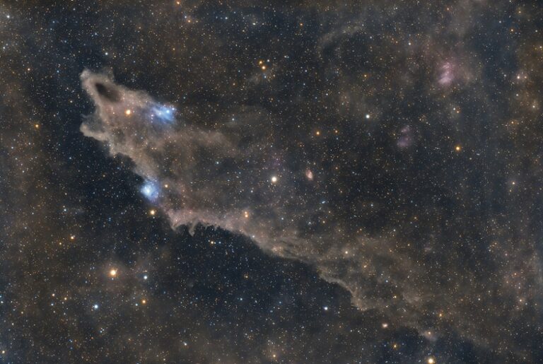 LDN 1235 The Shark Nebula in Cepheus - Sky & Telescope