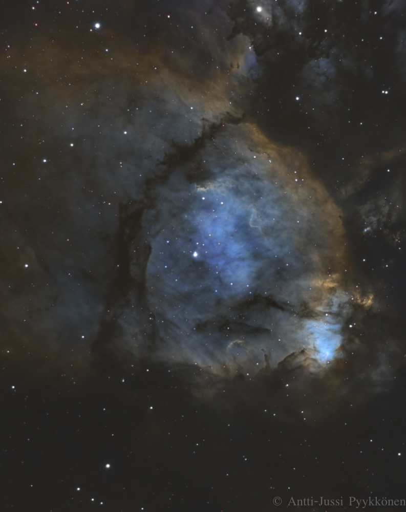 Fish Head in detail - Sky & Telescope - Sky & Telescope