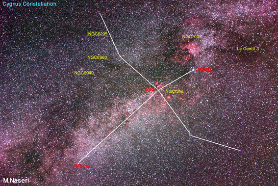 Celestial Objects of Cygnus - Sky & Telescope - Sky & Telescope