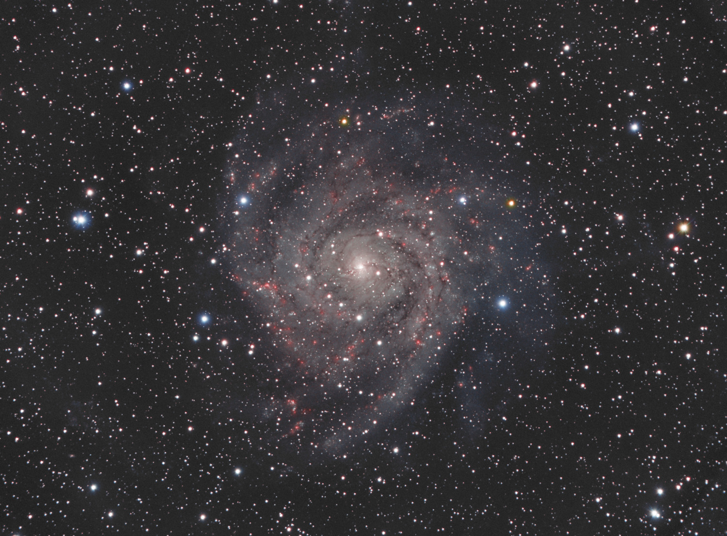 IC 342, the "Hidden Galaxy" - Sky & Telescope
