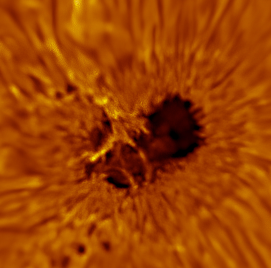 The Sun is having a baby? - Sky & Telescope