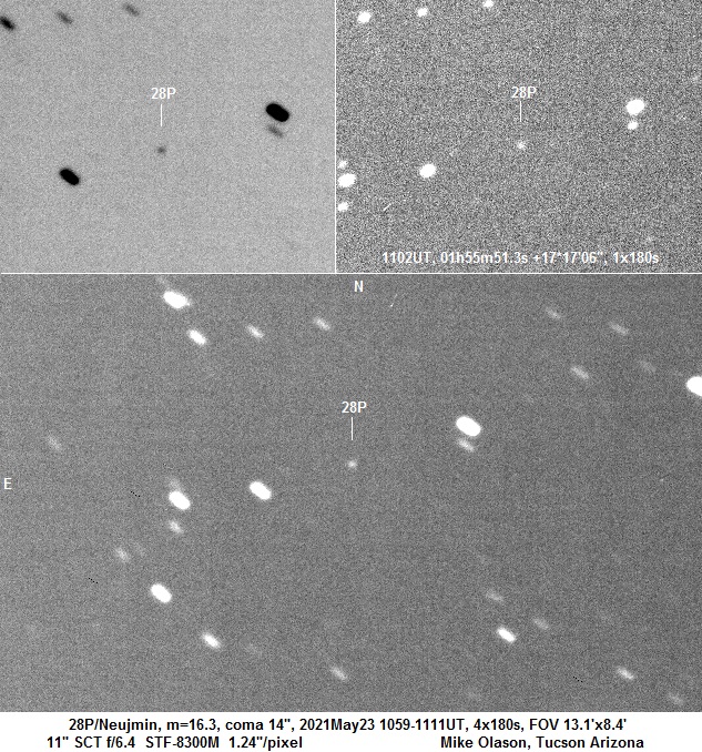 Comet 28P/Neujmin - Sky & Telescope
