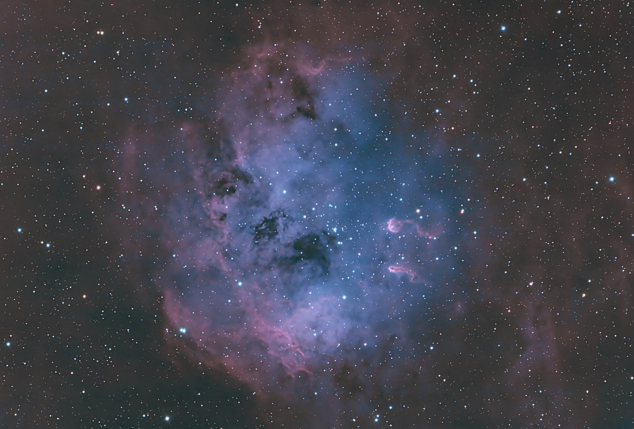IC 410, The Tadpole Nebula - Sky & Telescope