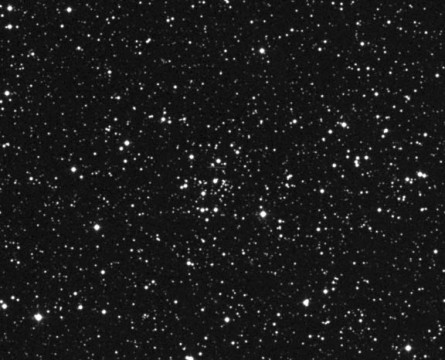 Picking Plums in the Galactic Anticenter - Sky & Telescope