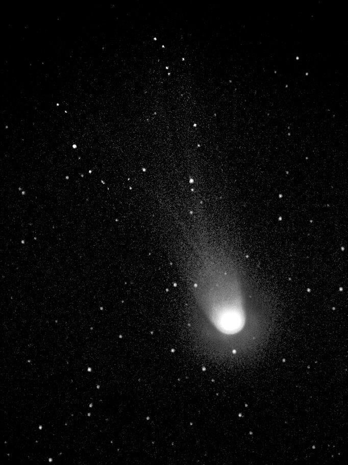 Leonard’s Comet - Sky & Telescope