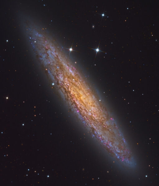NGC 253 - Sky & Telescope