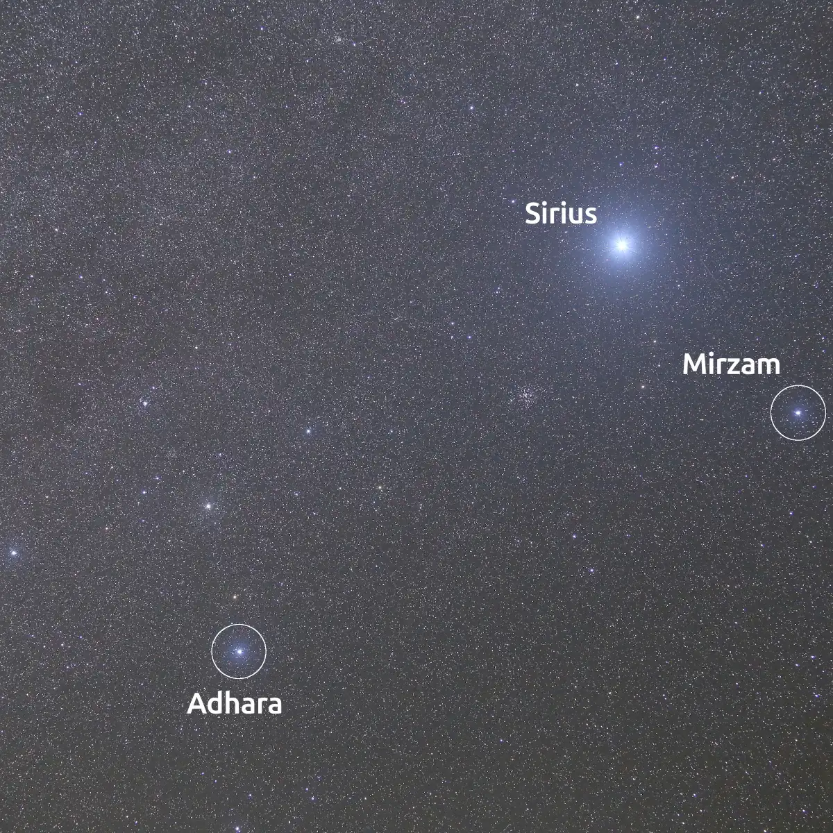 Meet Alkaid, the Big Dipper’s Handle - Sky & Telescope