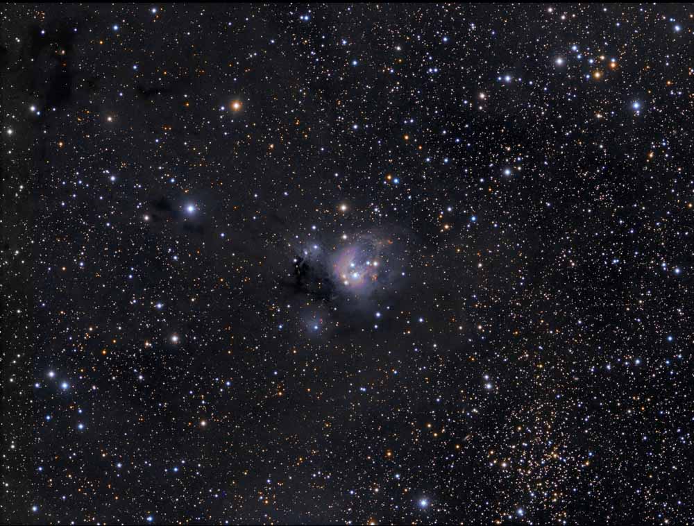 NGC 7129 | Lynn Hilborn - Sky & Telescope