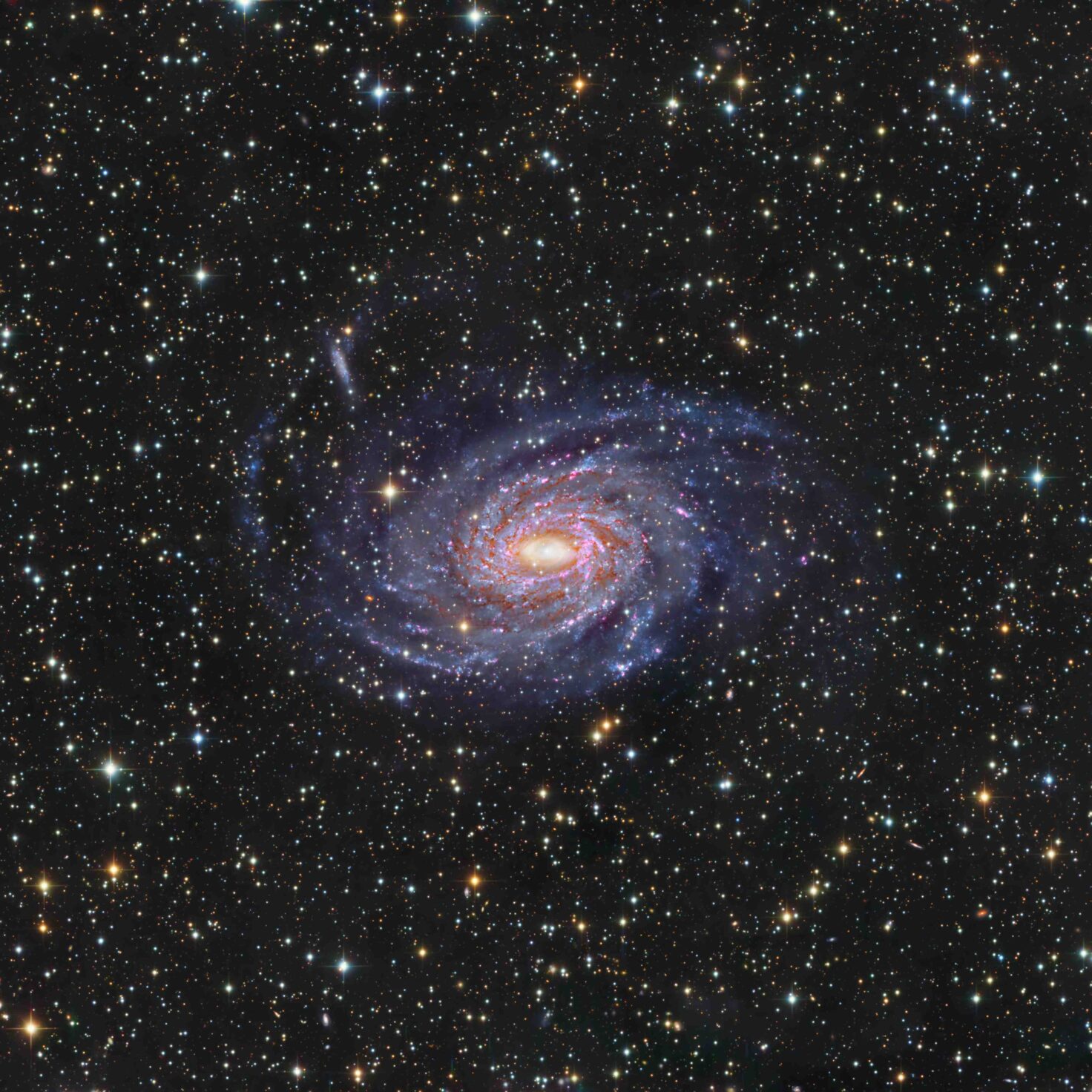 Caldwell 101 / NGC 6744 - Sky & Telescope