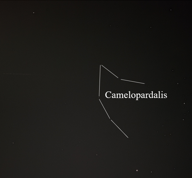 Caemopardalis - Sky & Telescope - Sky & Telescope