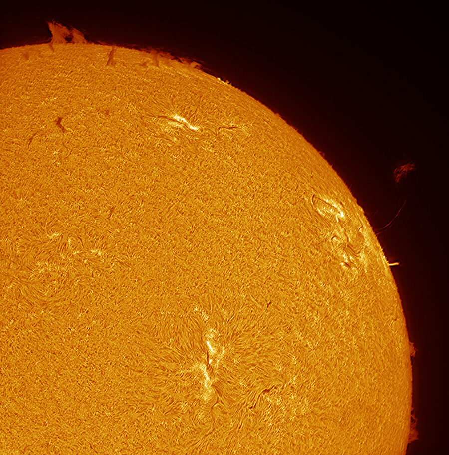 Magnetic Regions and Prominence - Sky & Telescope - Sky & Telescope