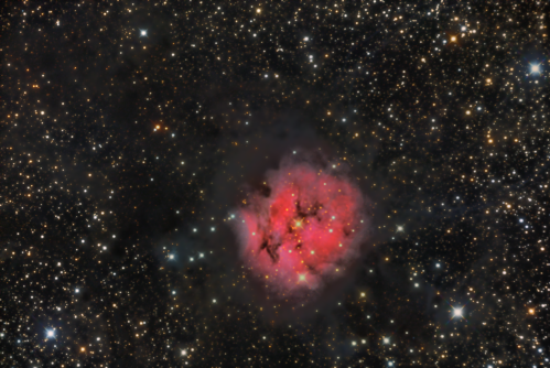 Cocoon Nebula - Sky & Telescope