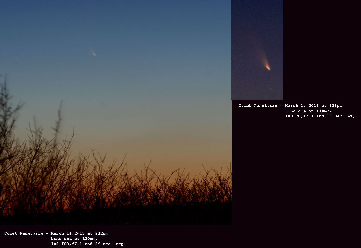 Comet McNaught from Downtown Boston | Haik Sahakian - Sky & Telescope