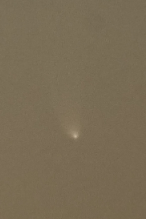 Comet McNaught | Alan Creutz - Sky & Telescope