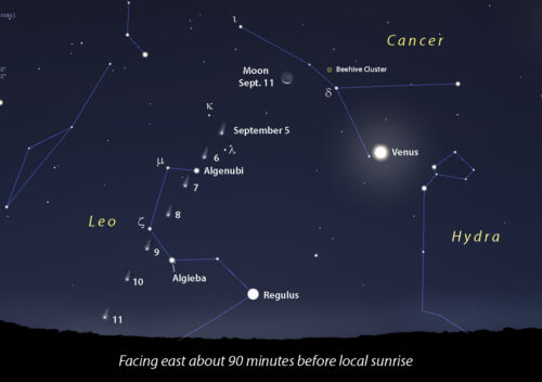 Action-packed Sky: Saturn, Comet Nishimura, and More - Sky & Telescope