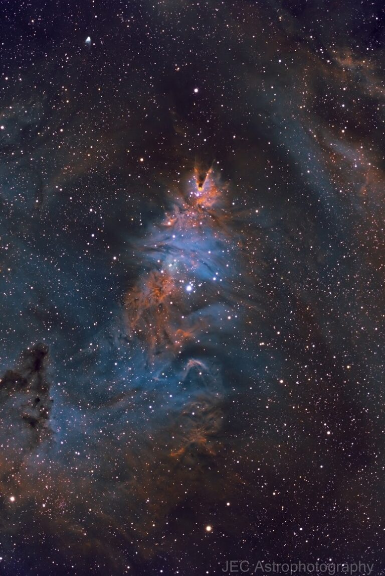 Christmas Tree Cluster/ Cone Nebula - Sky & Telescope
