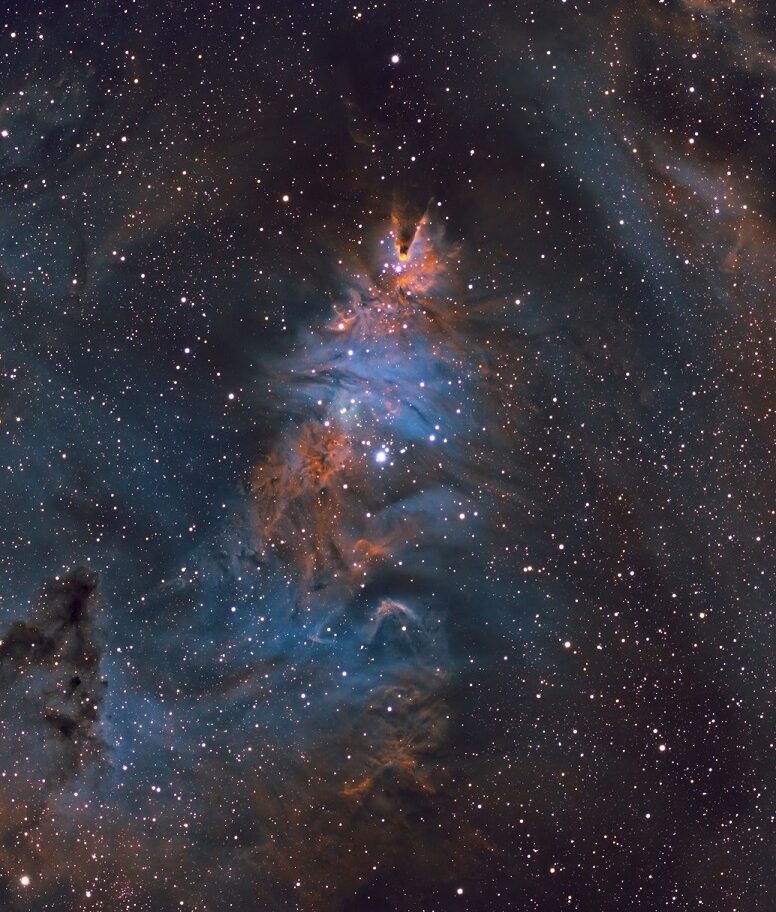 Christmas Tree Cluster/ Cone Nebula - Sky & Telescope