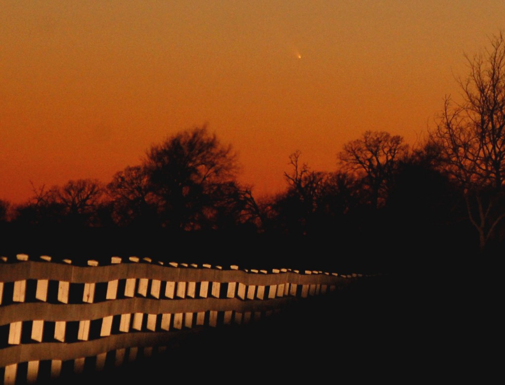 Comet Panstaars in Texas | Donald Bates - Sky & Telescope