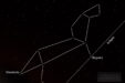 Meet Denebola, and Catch a Lion by the Tail - Sky & Telescope