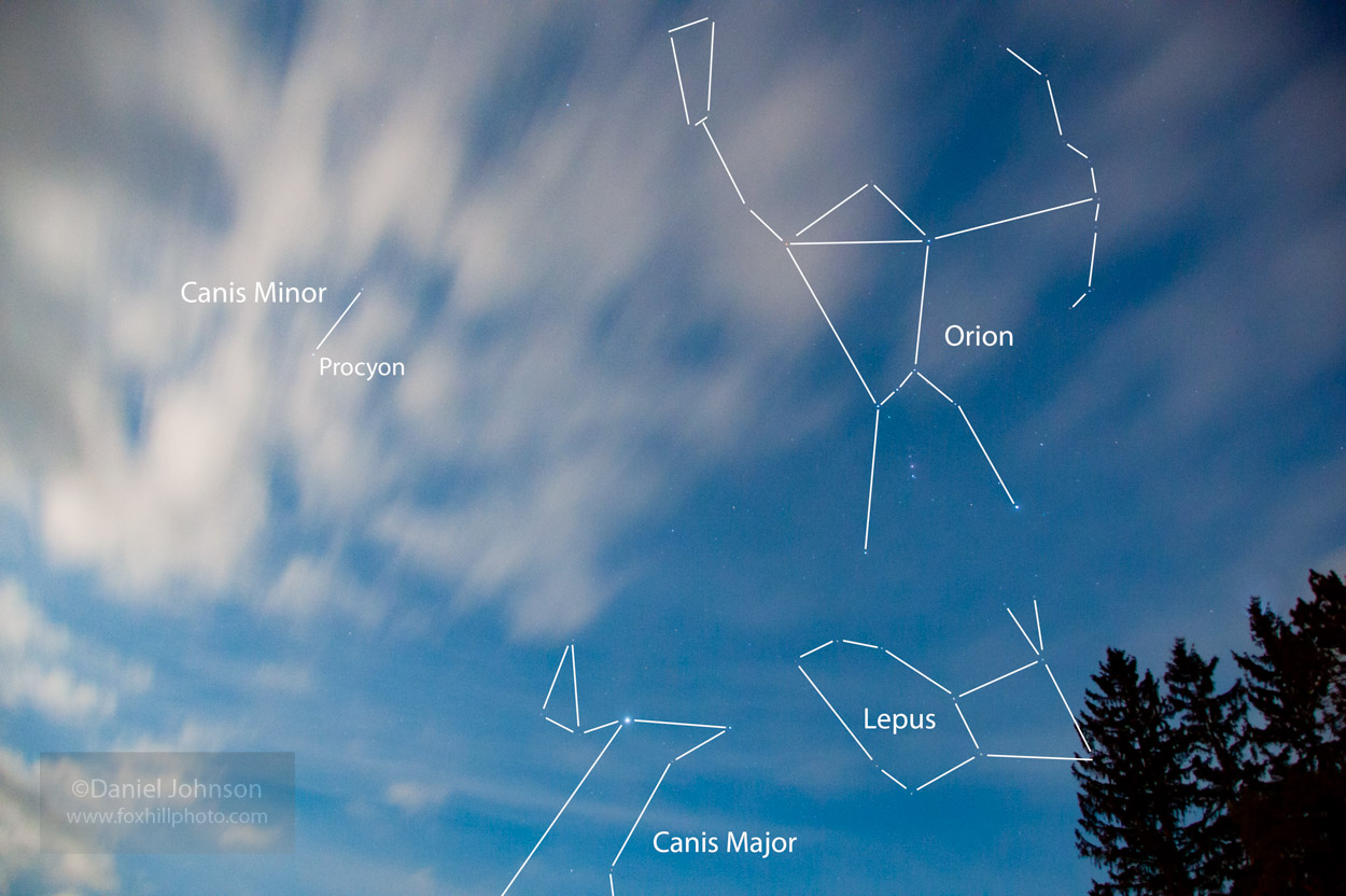 Meet Procyon, Orion’s Littler Dog - Sky & Telescope