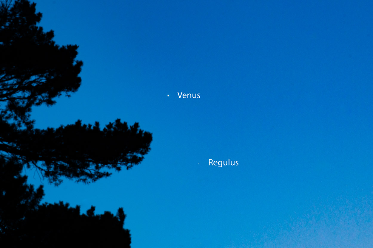 Meet Regulus, Little King of the Ecliptic - Sky & Telescope