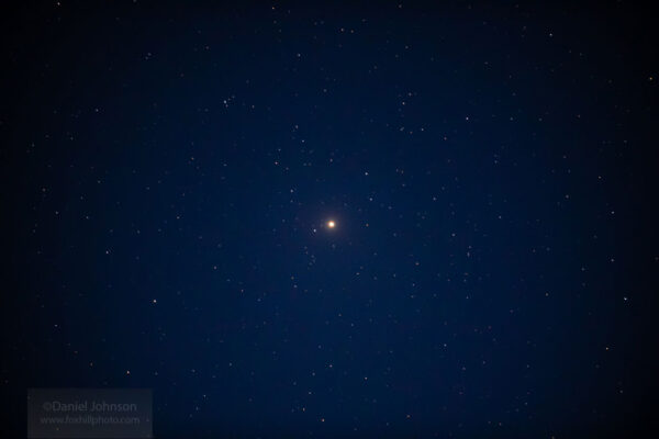 Meet Arcturus: Guardian of the Bear - Sky & Telescope