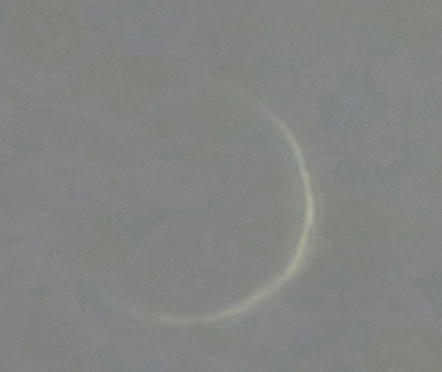 Young Venus | Patrick Macnamara - Sky & Telescope