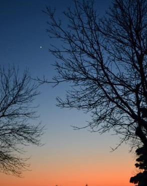 Sunset with Venus and Luna | Matt Staab - Sky & Telescope