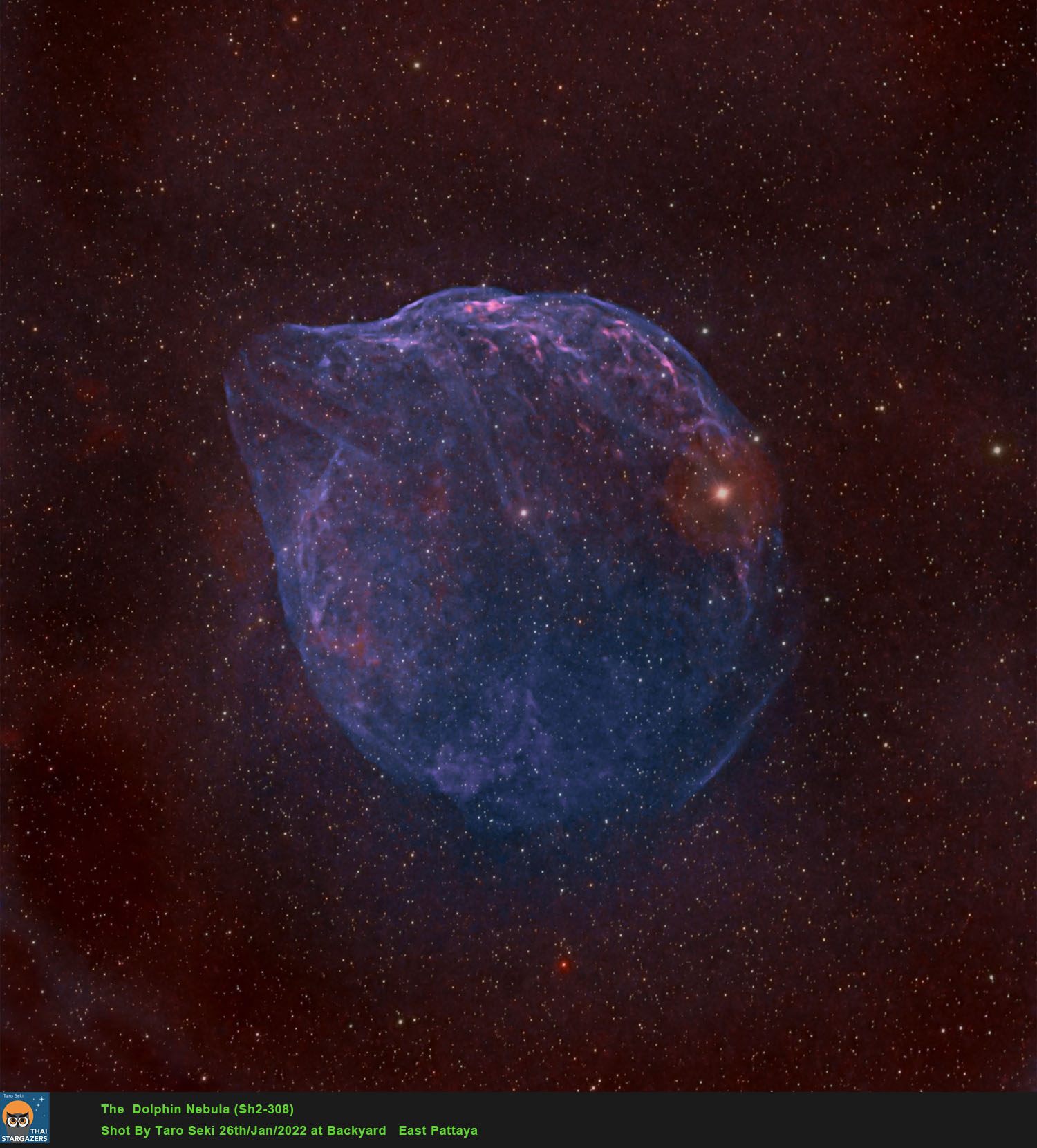 The Dolphin Nebula - Sky & Telescope