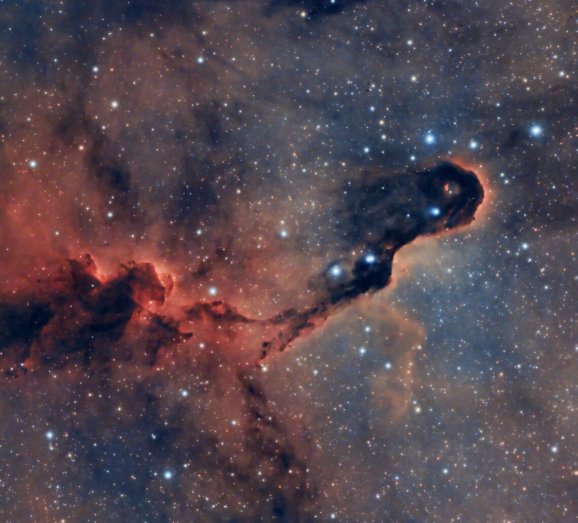 Elephant Trunk - Sky & Telescope