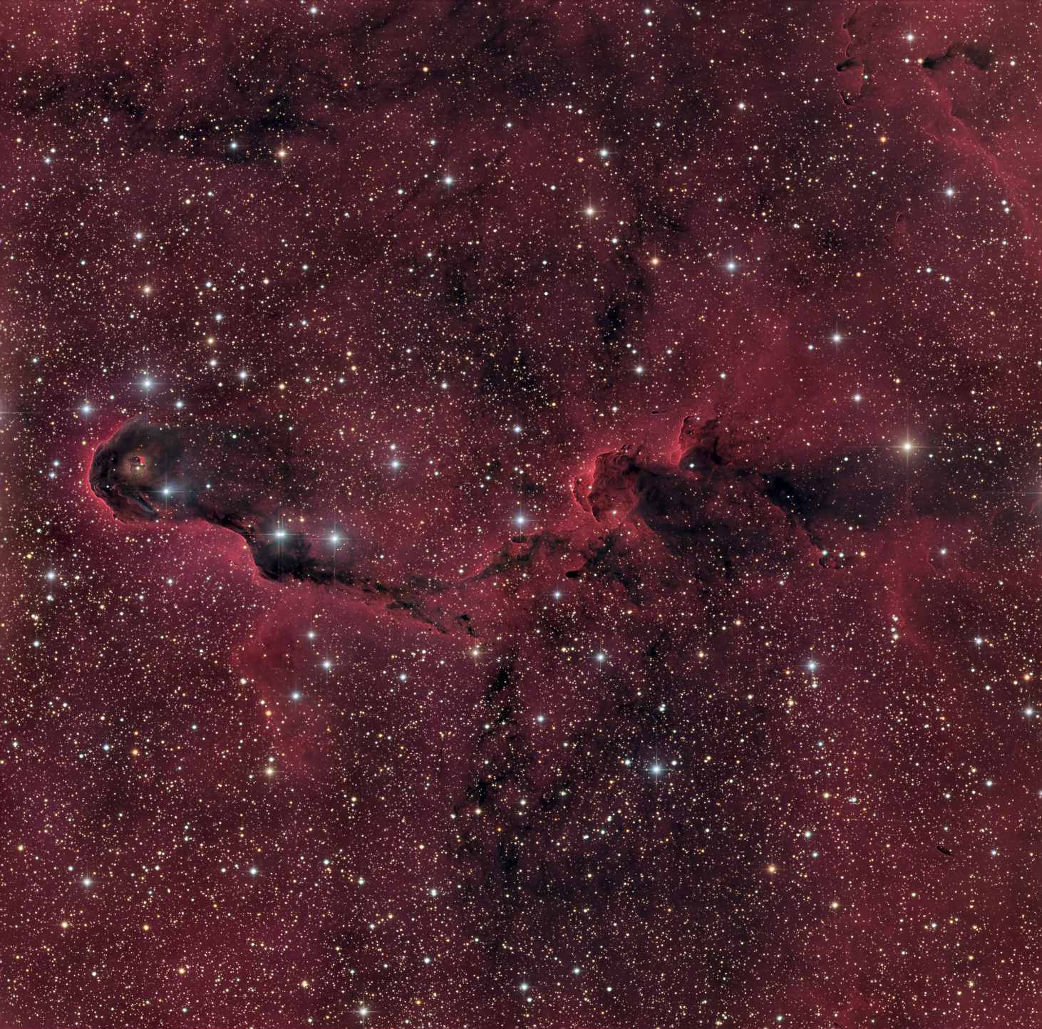 Elephant Trunk Nebula - Sky & Telescope